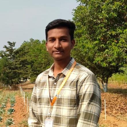 ZeroLag - High Performance Web Solutions